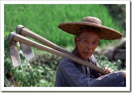 On Cedar Ridge: Azada, Powrah, Changkol, Jembe or Grub Hoe